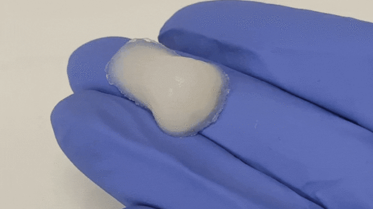 3D printing anatomical models using chitosan hydrogels - labmethods